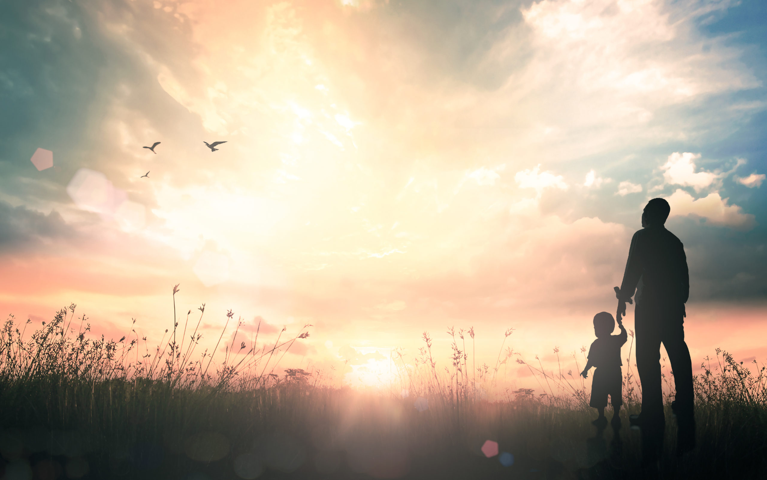 The importance of having a long-term view - Elisabet Lagerstedt ...