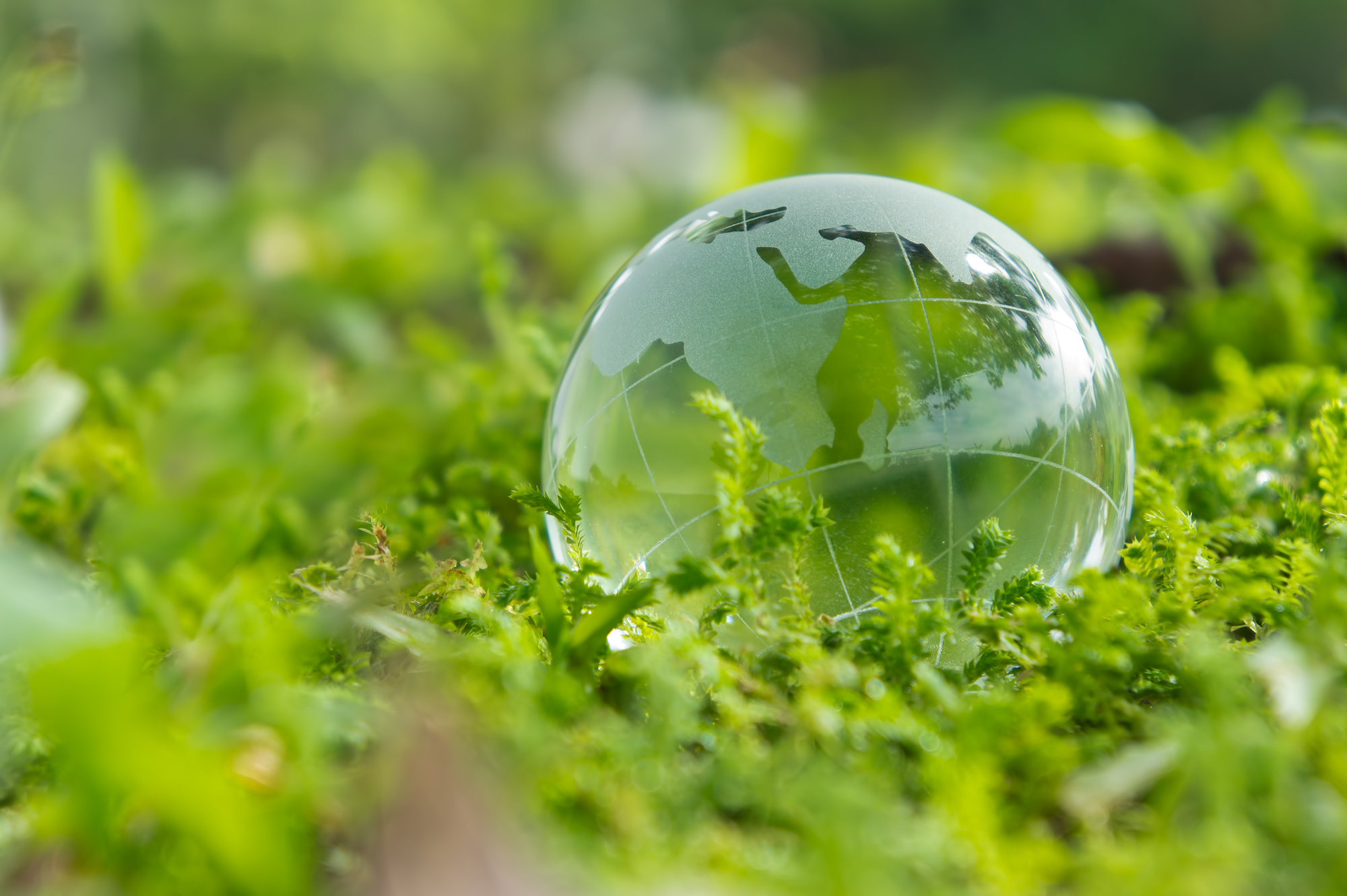 The Challenge of Rising Complexity in a VUCA World - Elisabet ...
